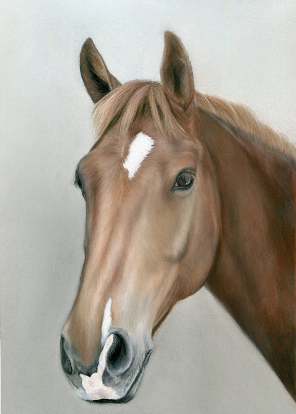 Commissions – Laura Pennell Art